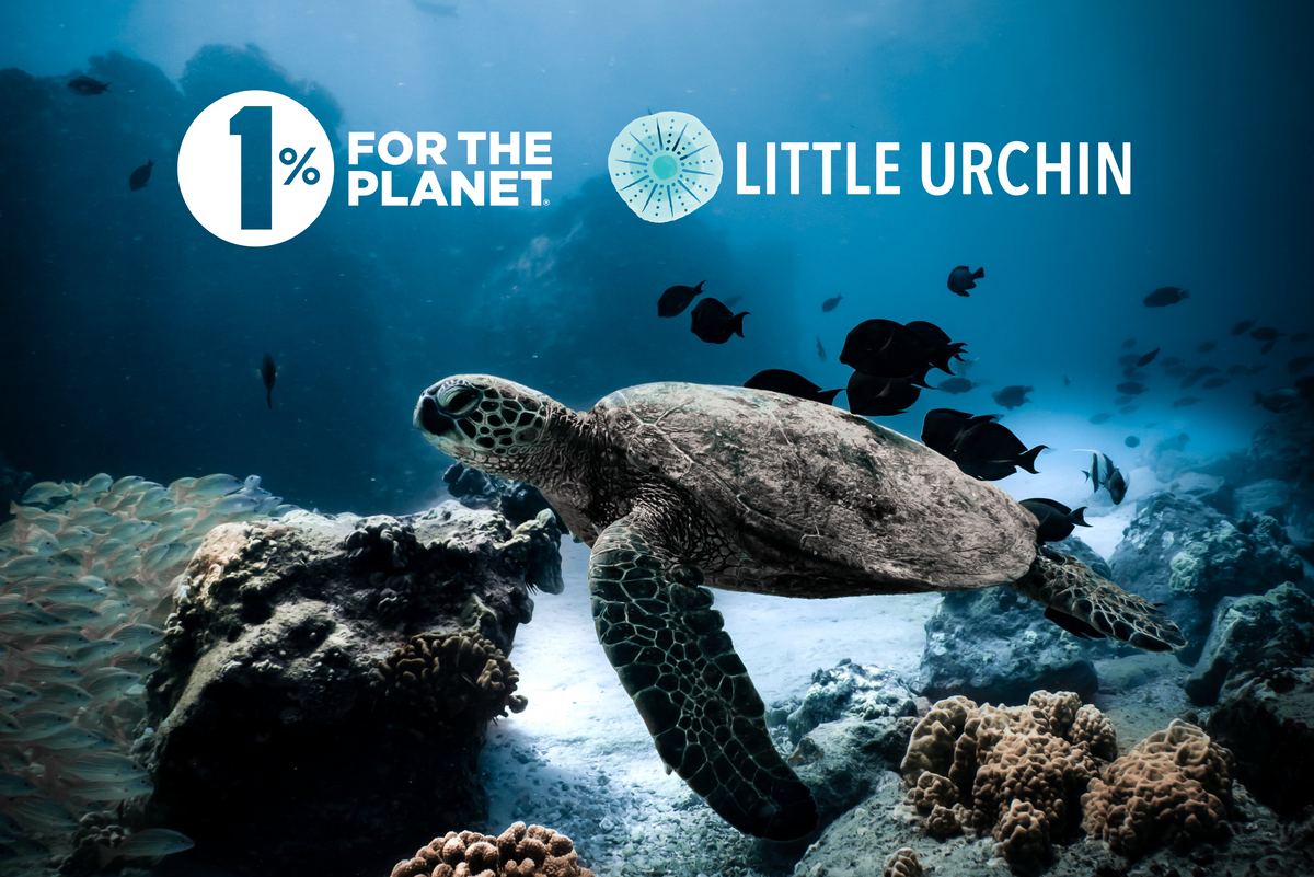 Slip, Slop, Slap and Pay It Forward with LITTLE URCHIN